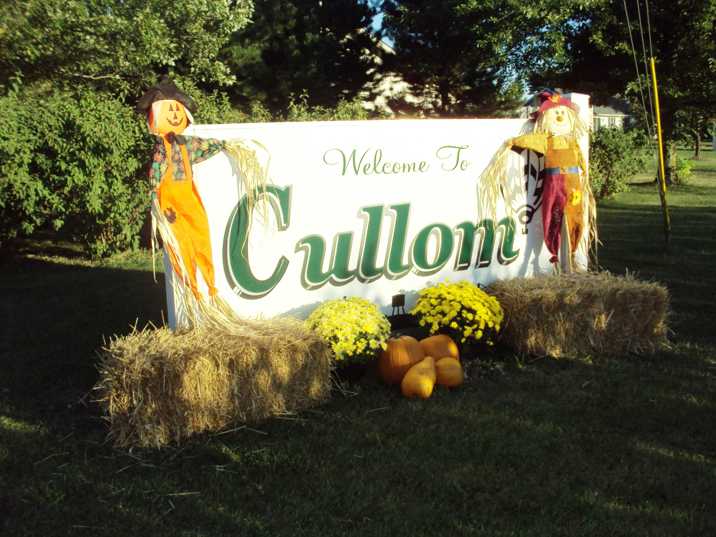 Village of Cullom, Illinois – Cullom Board of Trstees